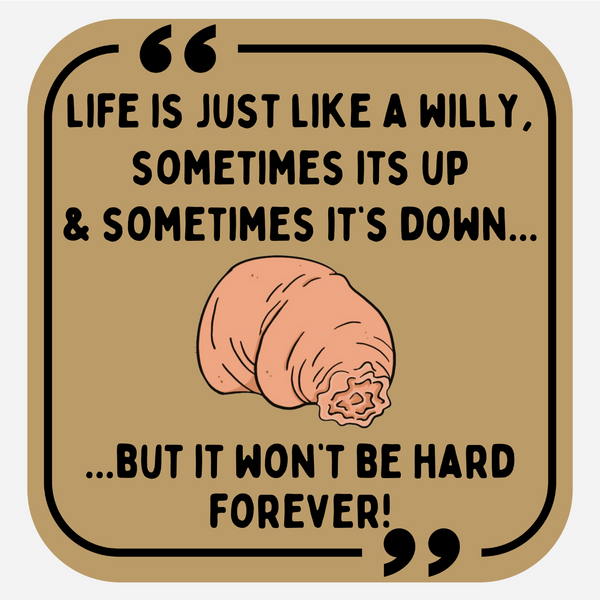 Life Is Just Like A Little Willy... – BillysBallBags